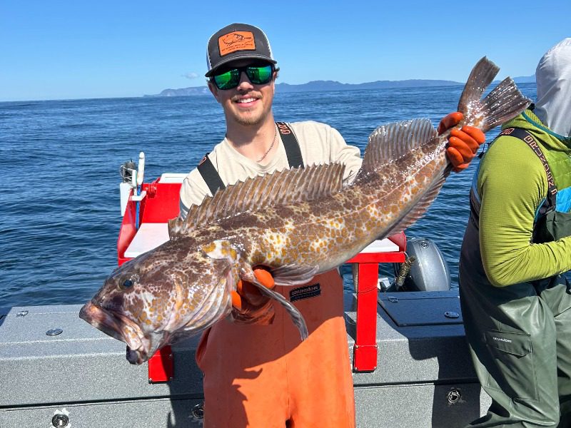 5 Things to Know About Lingcod Fishing - Screamin' Reels